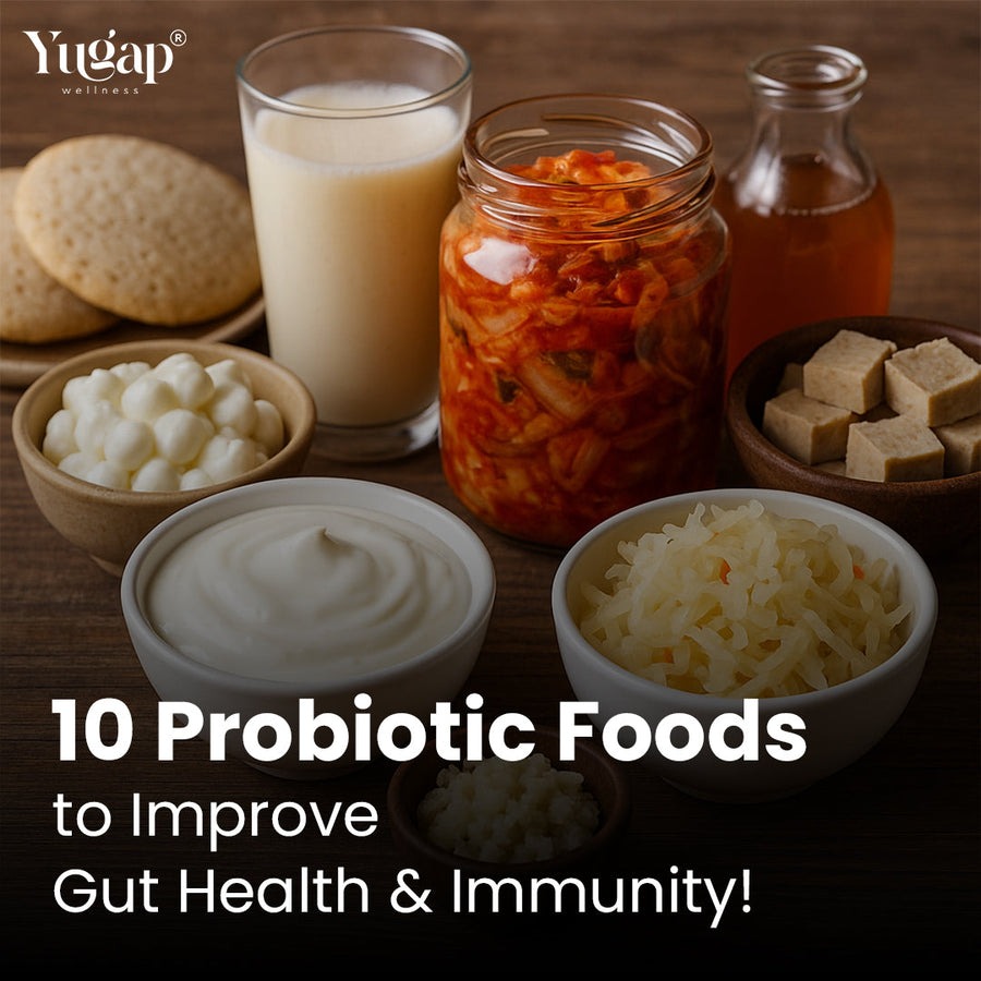 Top 10 Probiotic Foods to Improve Gut Health & Immunity– YuGap Wellness
